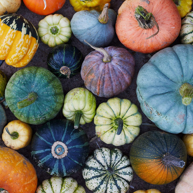 @countrylivinguk LikeShop