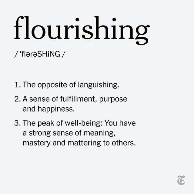  ariannahuff LikeShop
