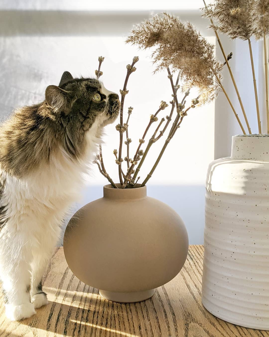 Full Moon Clay Vase by Leanne Ford + Reviews | Crate & Barrel